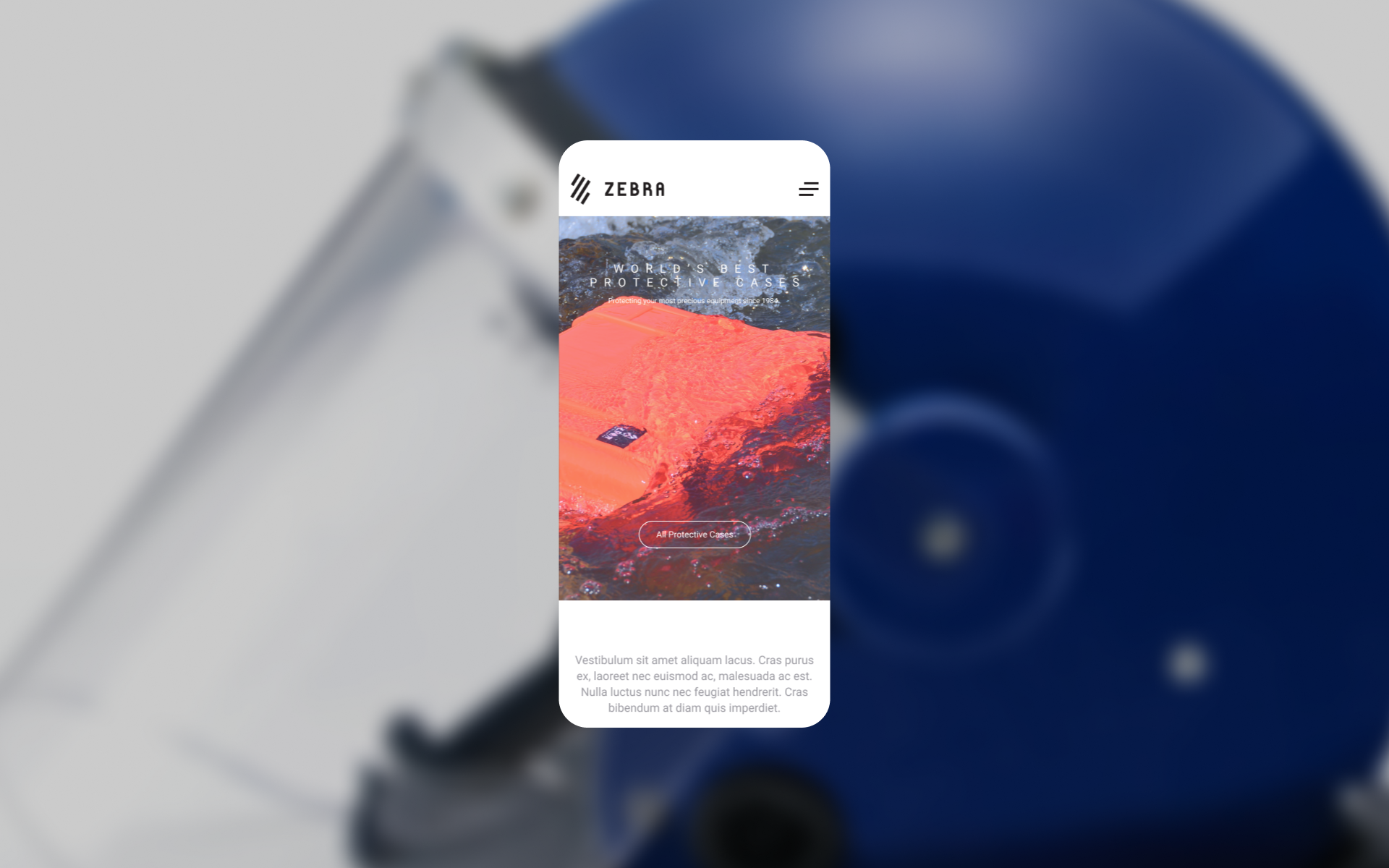 Zebra Kurumsal Kimlik Tasarımı, Websitesi Tasarım ve Yazılım • Merkur ...